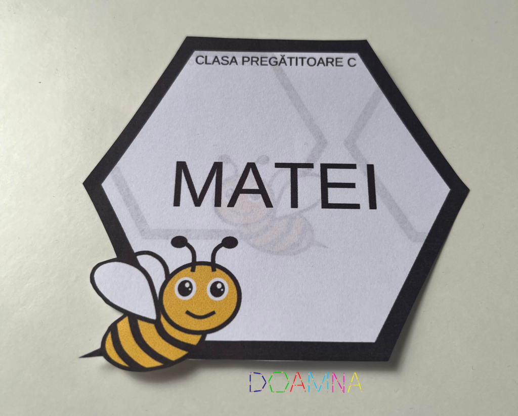 Arhive Clasa albinuțelor - DOAMNA